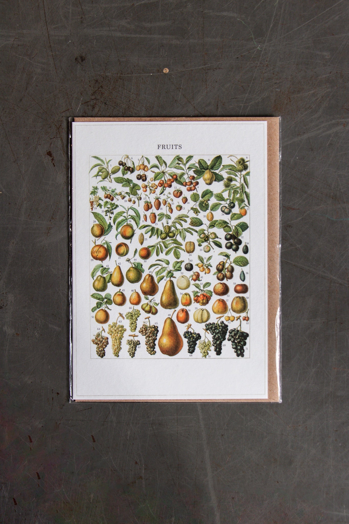 The Pattern Book Press Fruits – The Hub General Store