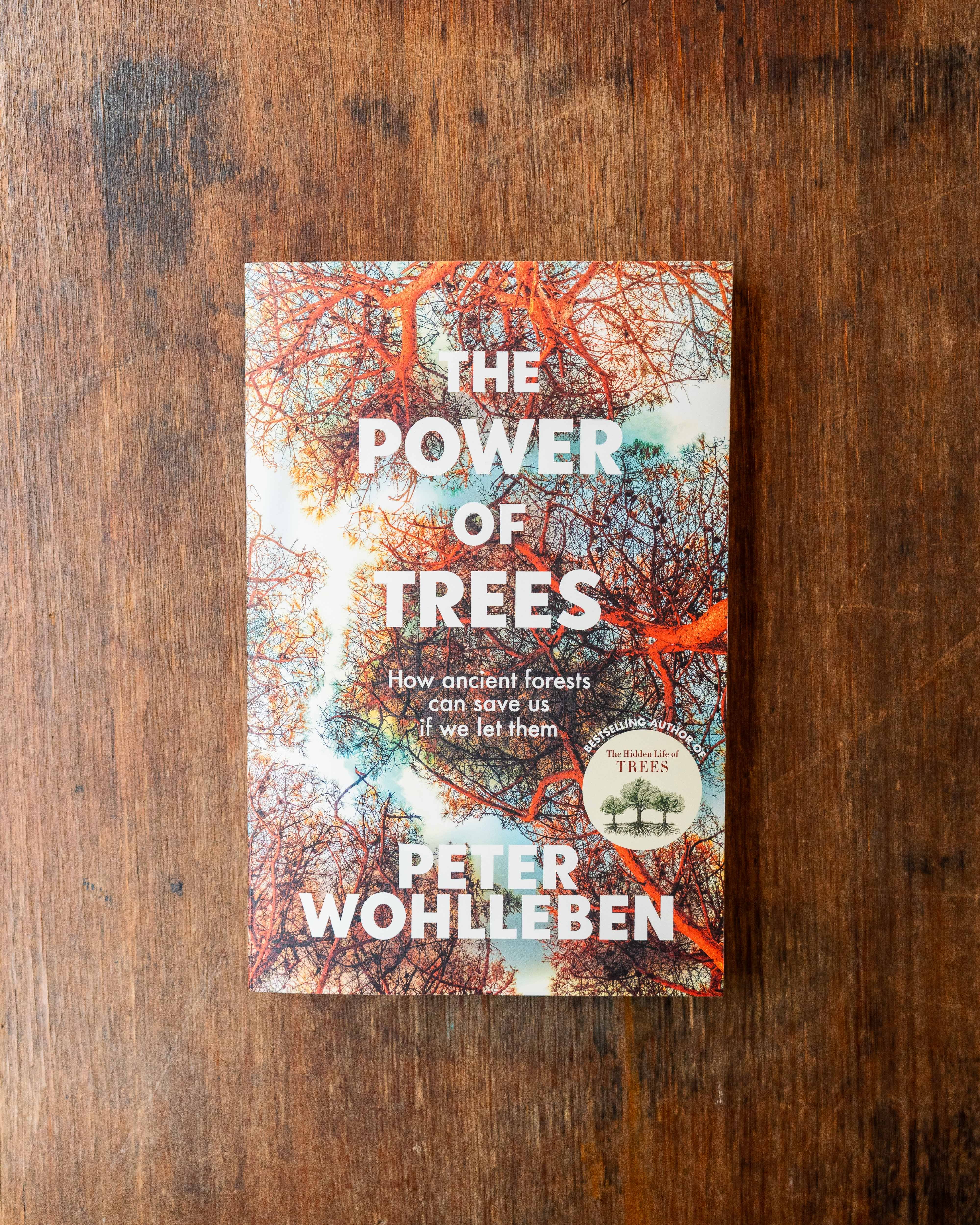 The Power Of Trees