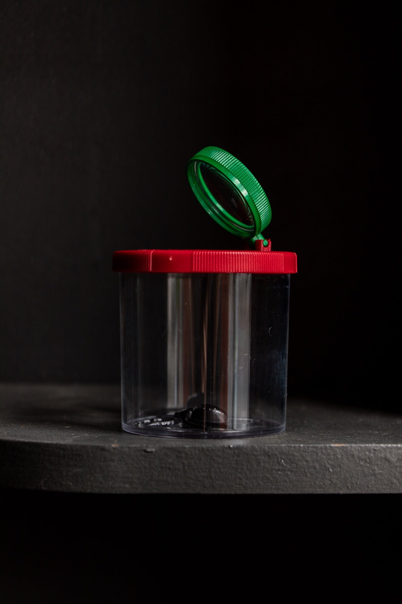 Navir Worlds Best Bug Viewer – The Hub General Store