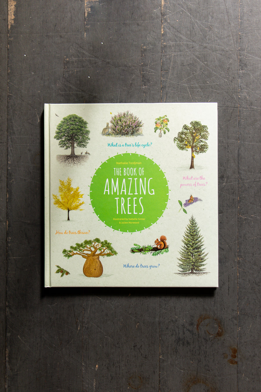 The Book Of Amazing Trees By Nathalie Tordjman Isabelle Simler And Jul