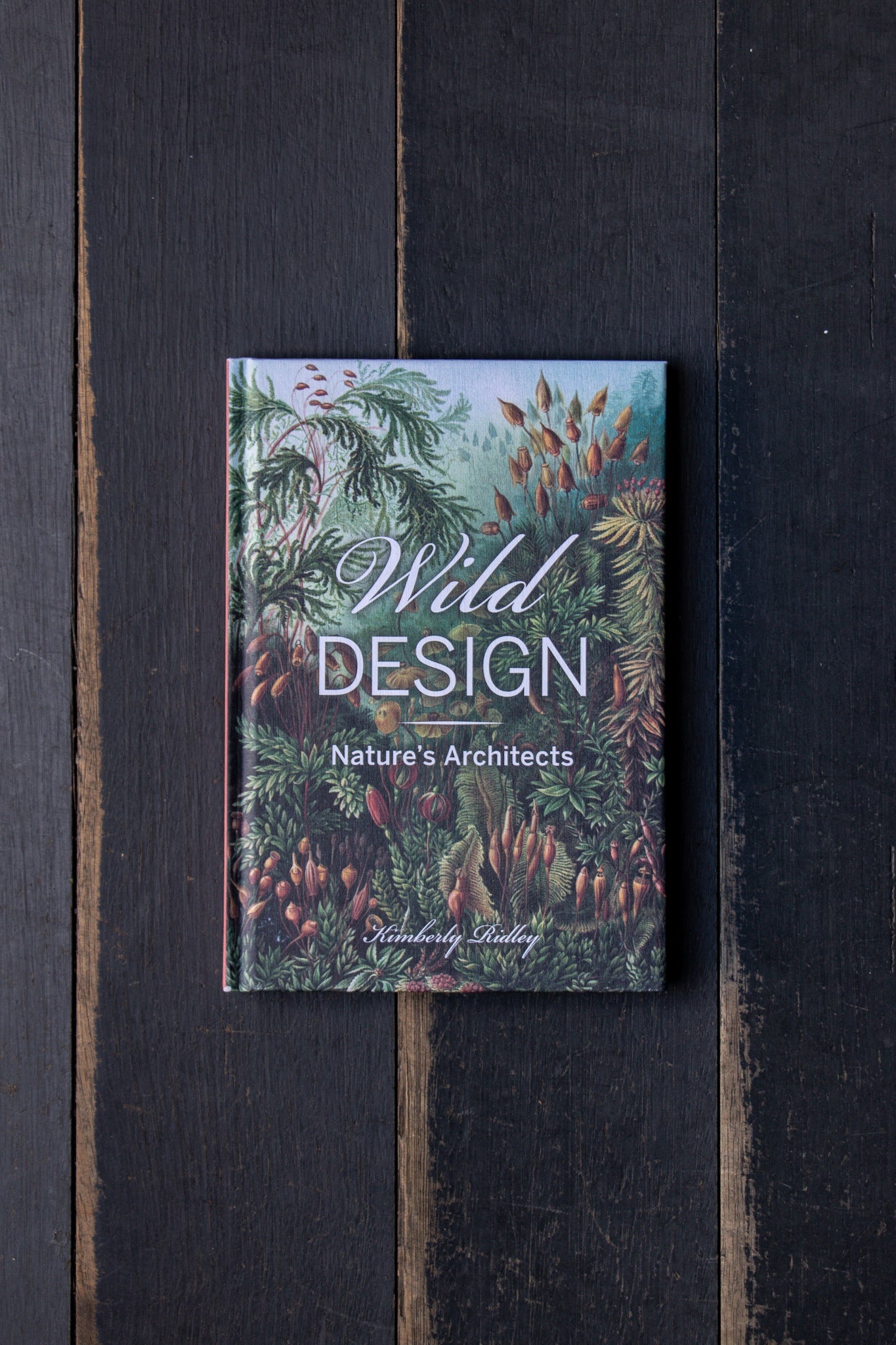 Wild Design Natures Architect By Kimberly Ridley
